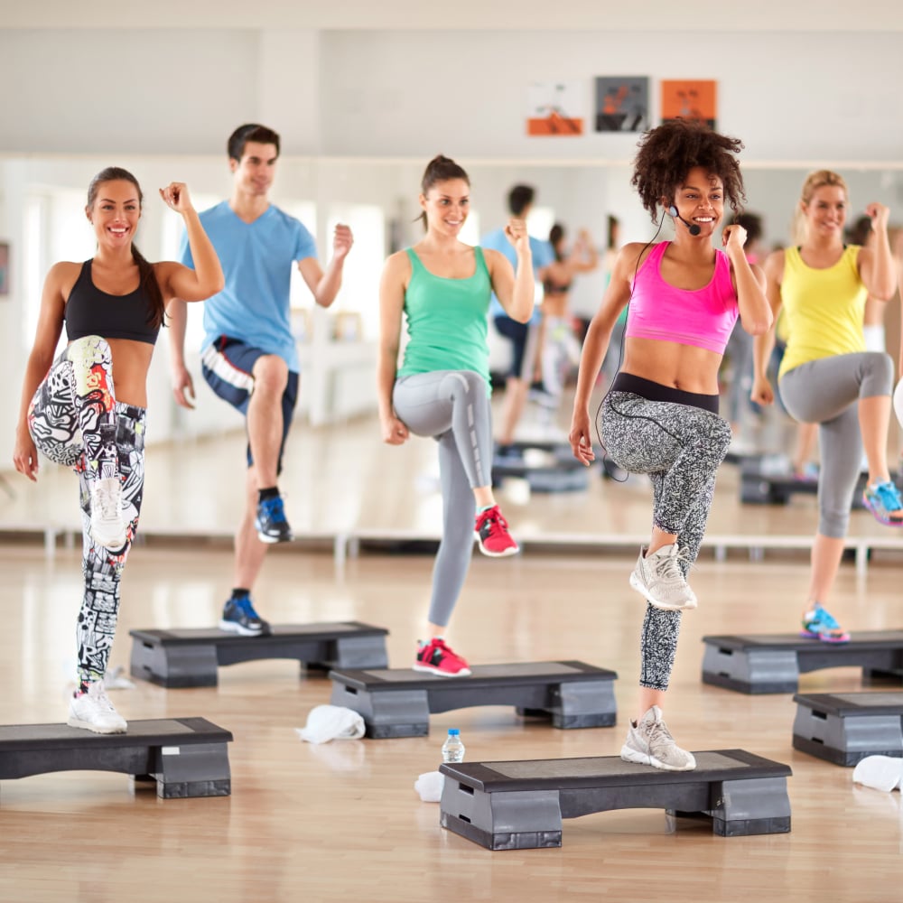 About MX Fit - MX Fit