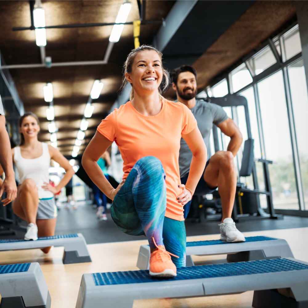 MX FIT LATEST RELEASES - MX Fit